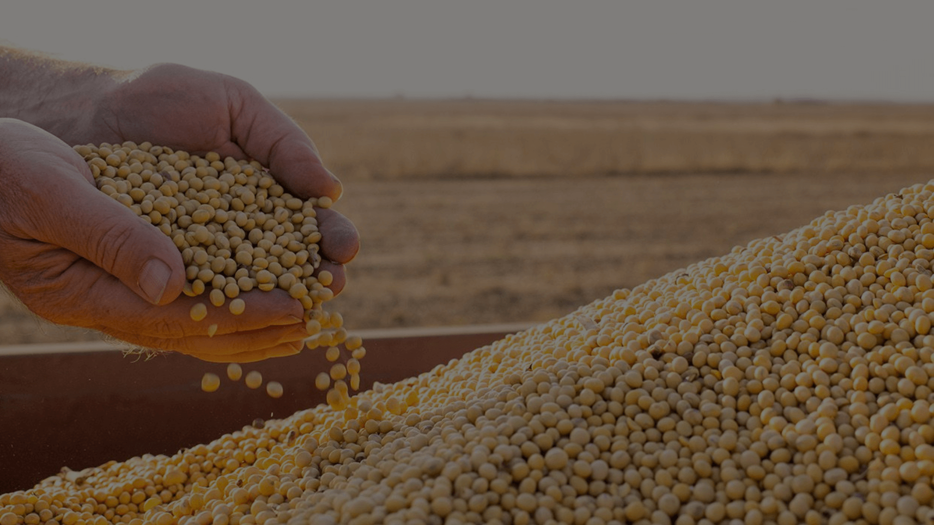 Conservación de Granos